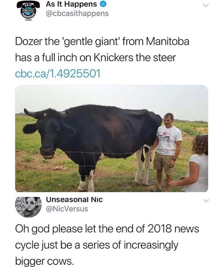 absolute unit | Scrolller