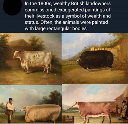 Absolute units of farm animals | Scrolller