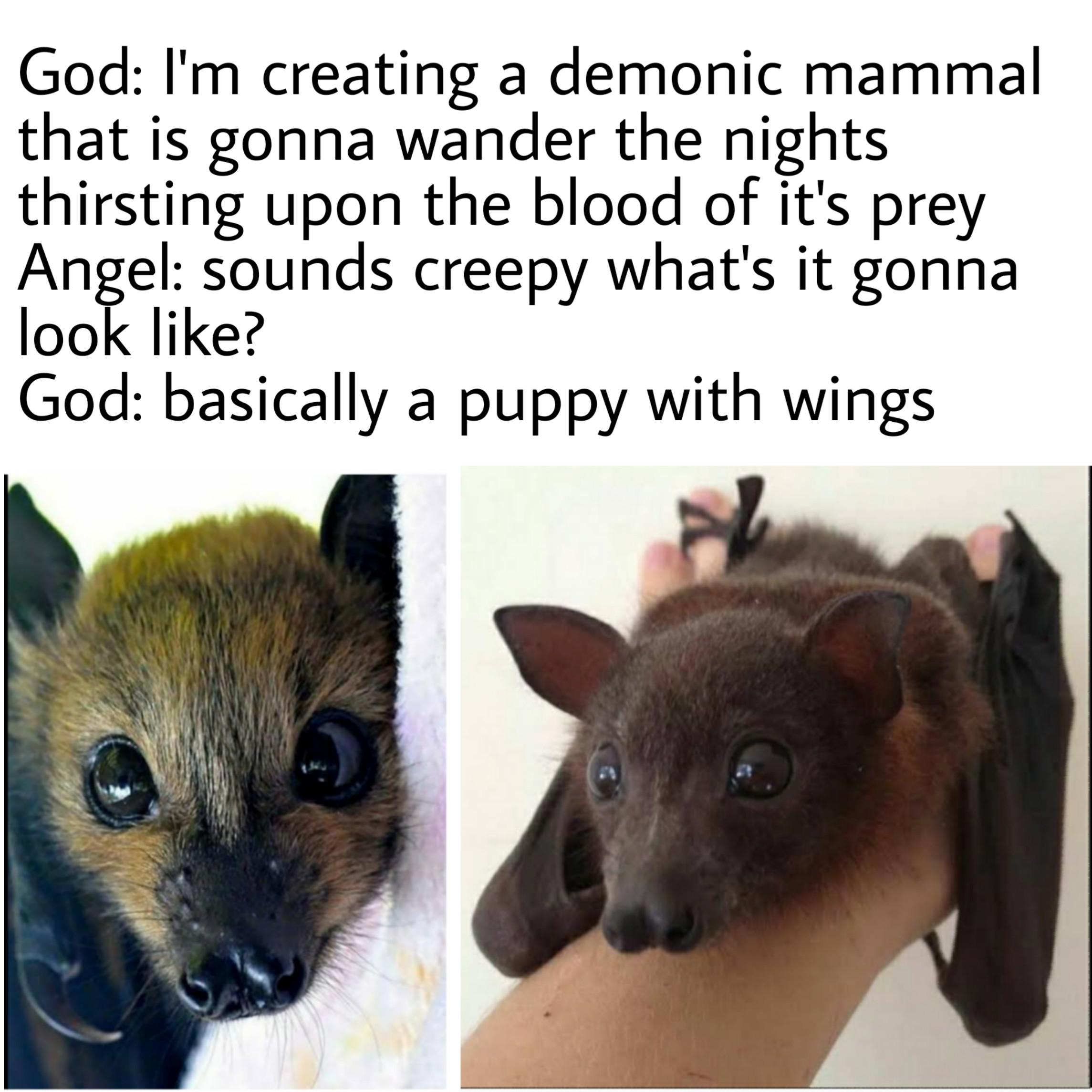 Absolutely demonic | Scrolller