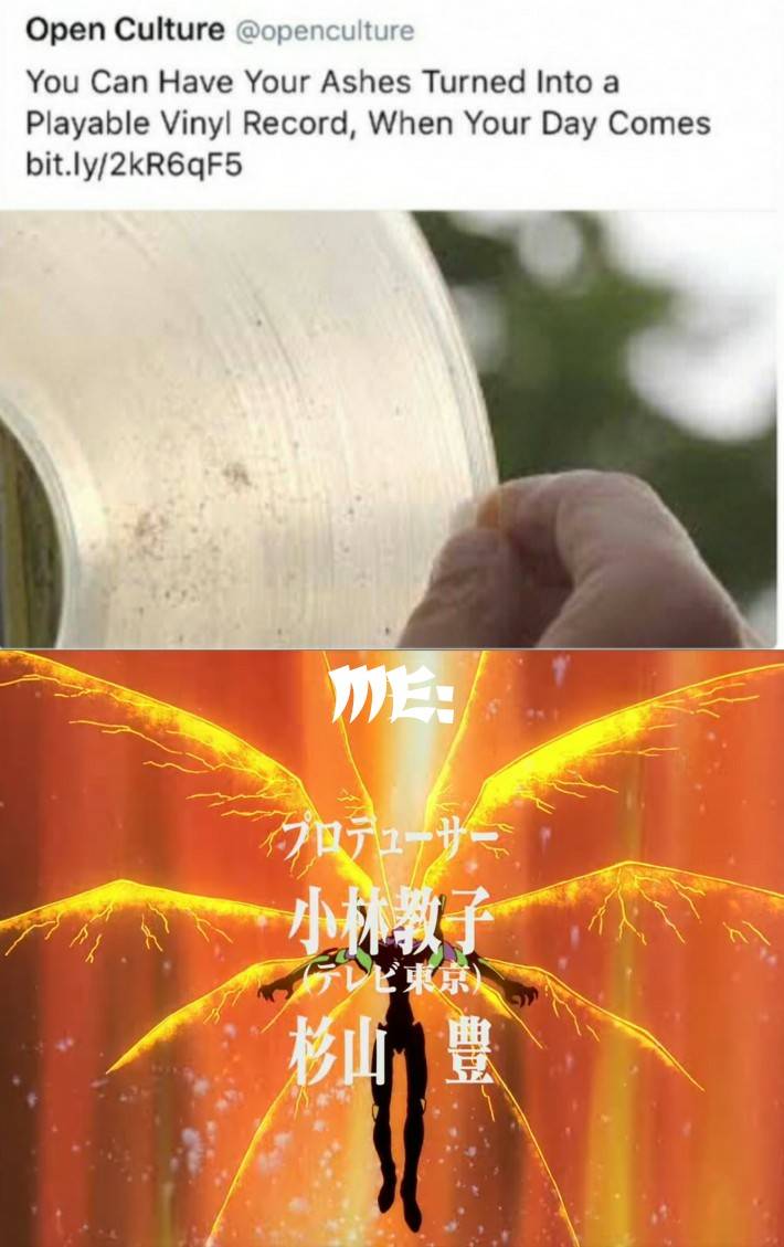 Absolutely terrific | Scrolller