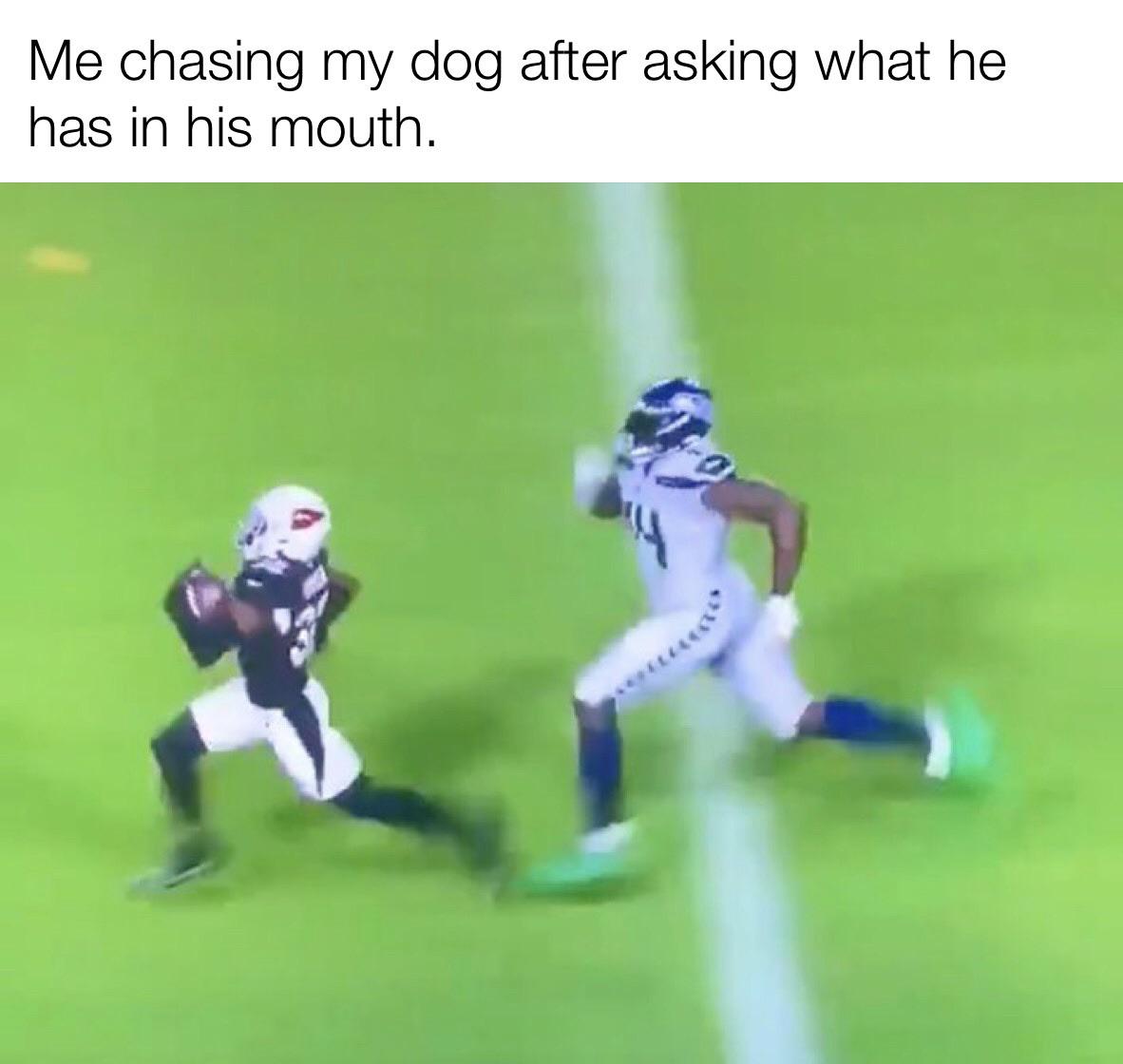 Absolutely terrifying | Scrolller