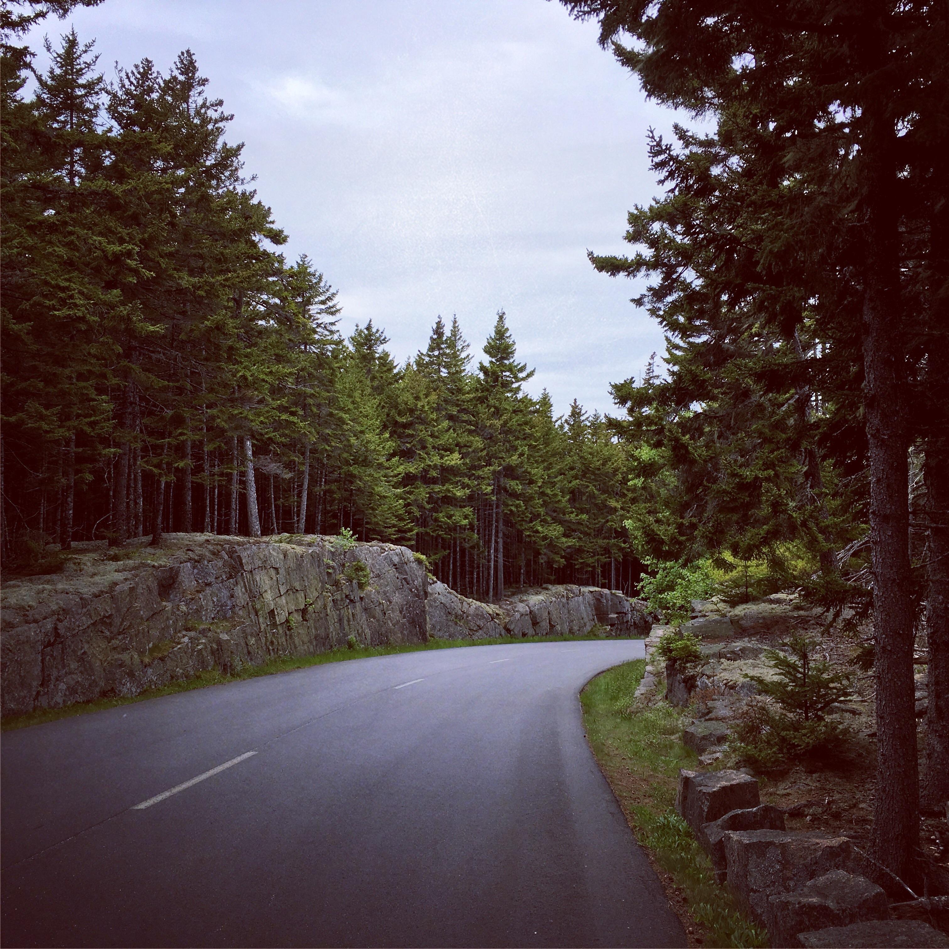 Acadia National Park | Scrolller