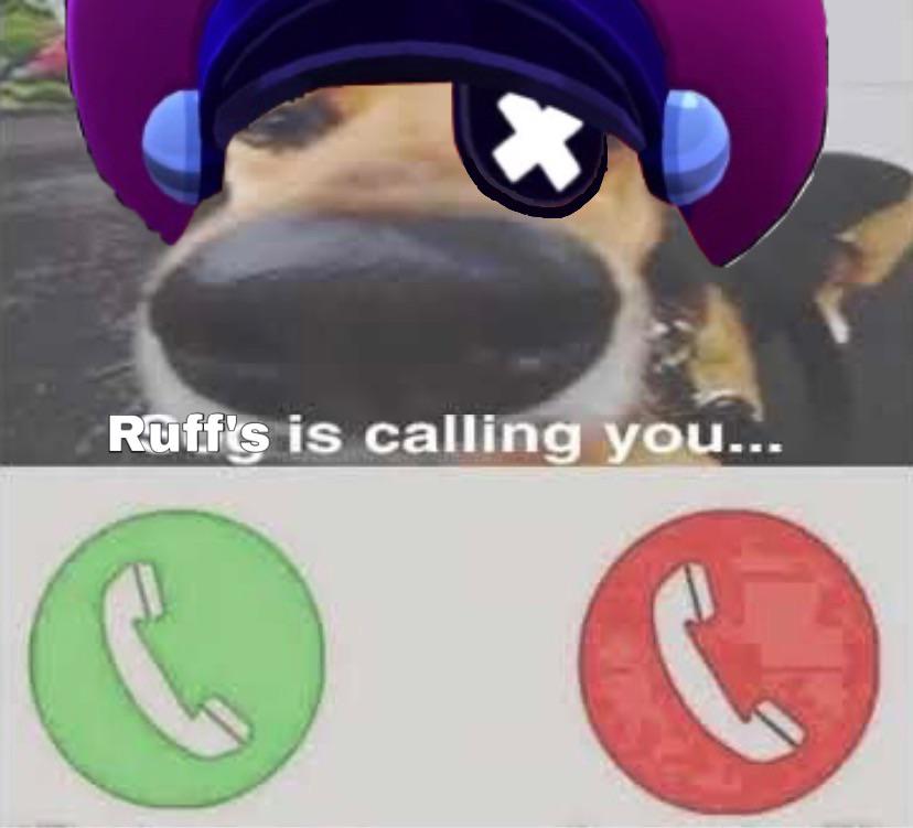 accept ???? | Scrolller