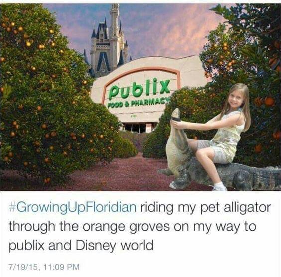 Accurate | Scrolller