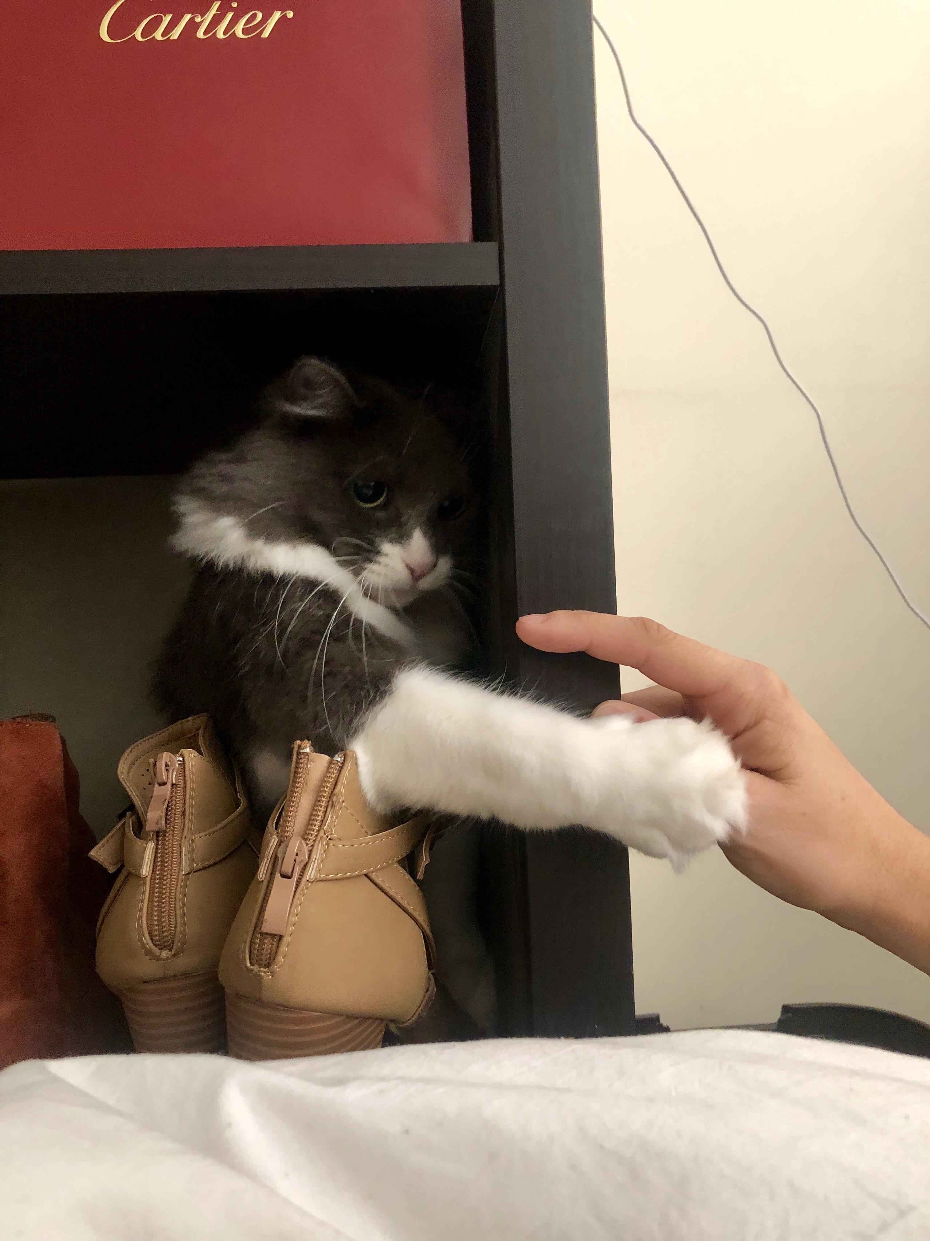 Action shot | Scrolller