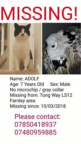 Adolf is missing | Scrolller