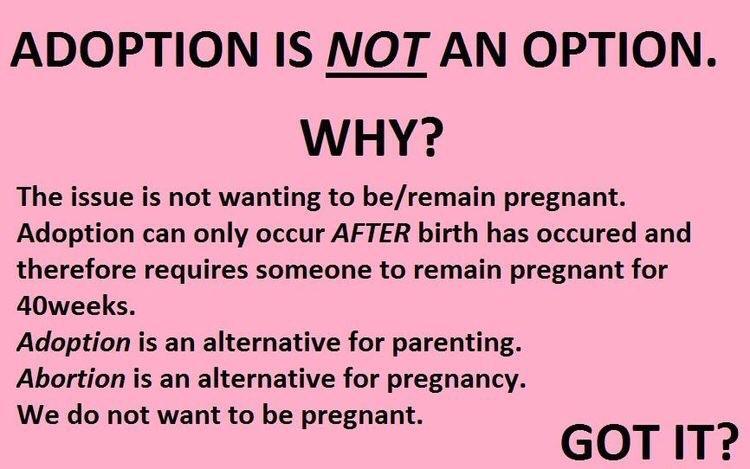 Adoption is NOT An Option | Scrolller