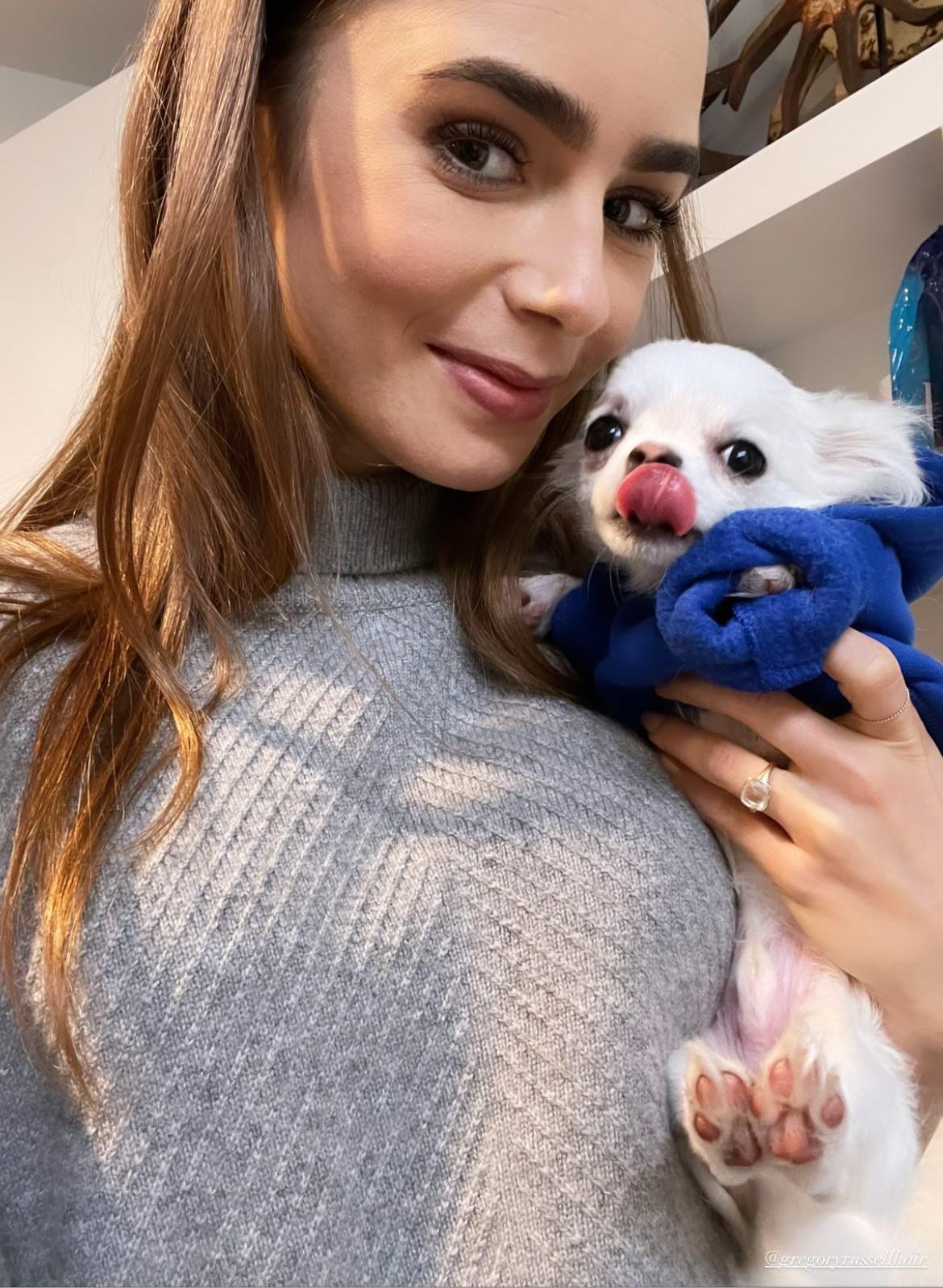 Adorable Scrolller
