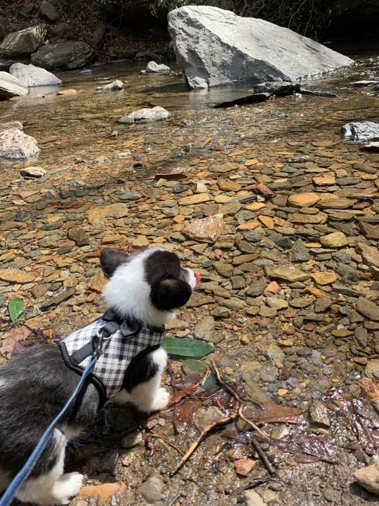 Adventure mlem! | Scrolller