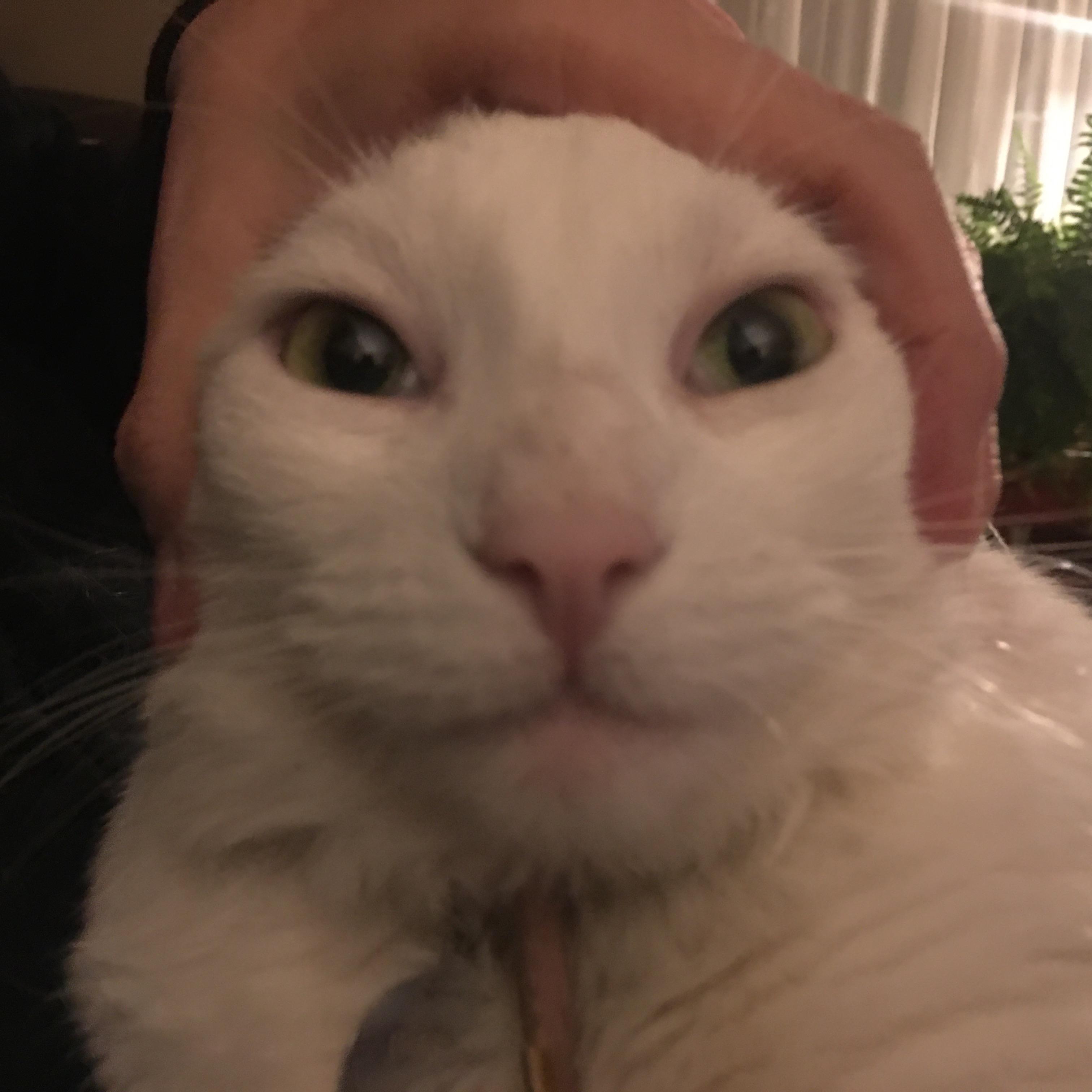 Aerodynamic Pepper. | Scrolller