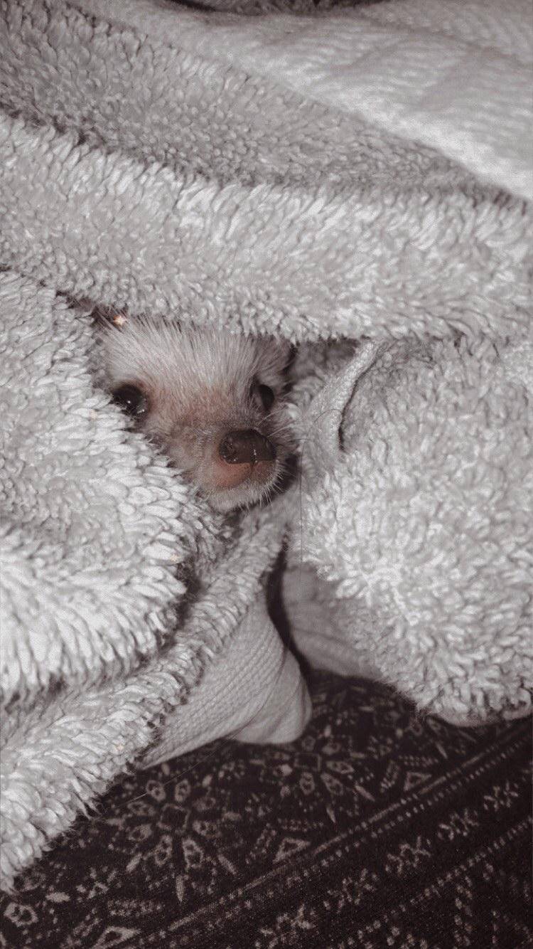 After a bath | Scrolller