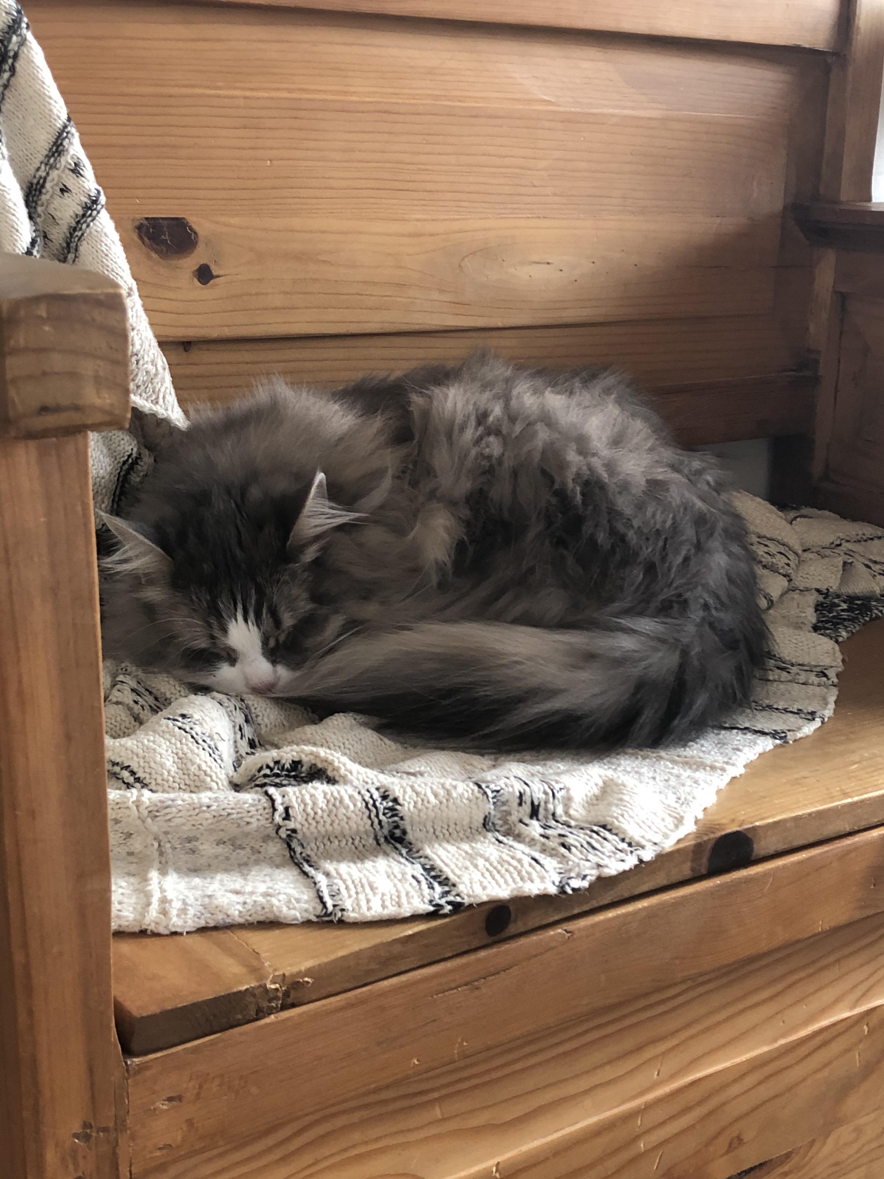 After a long, hard night of sleeping, it is time to rest. | Scrolller