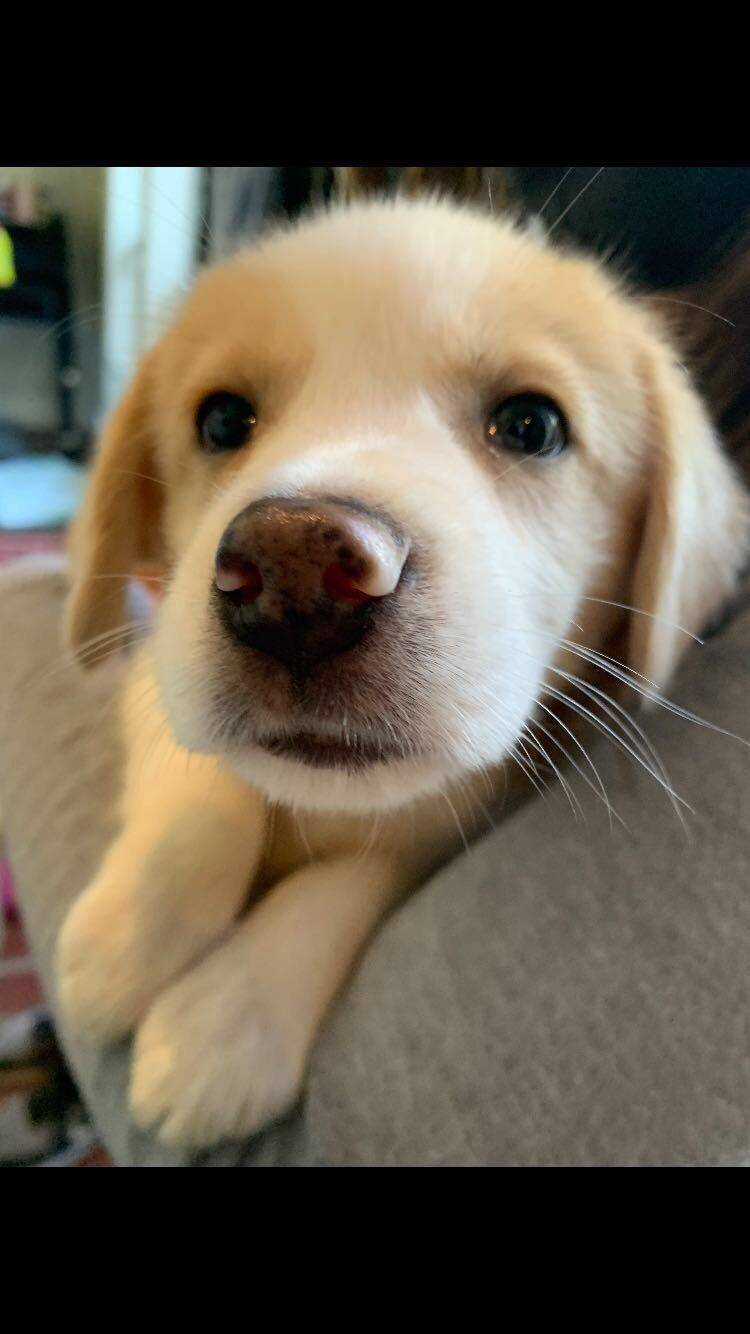 After graduating college and saving up enough money, I finally picked ...