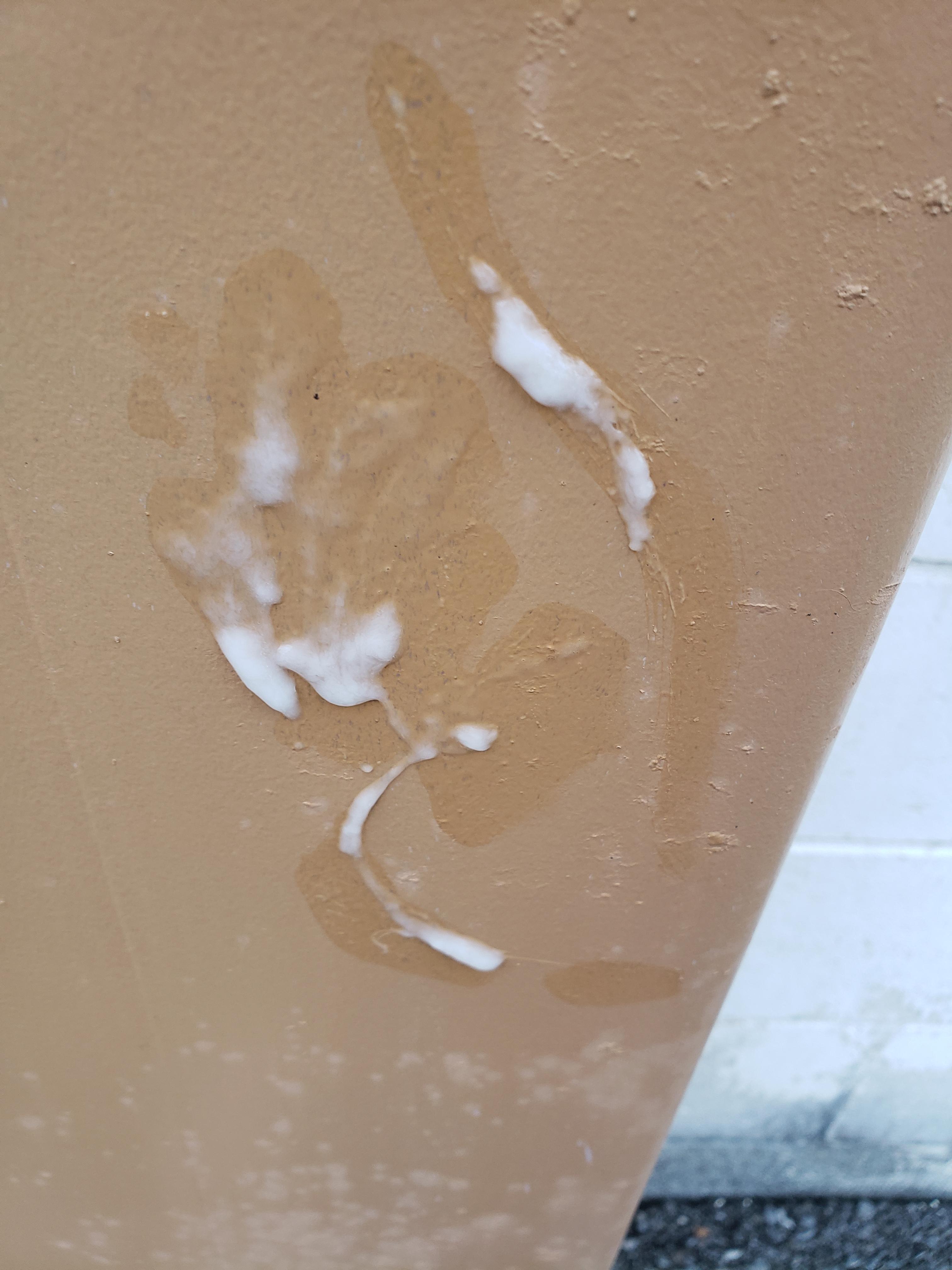 Aftermath of an outdoor nude photoshoot. [28M] | Scrolller