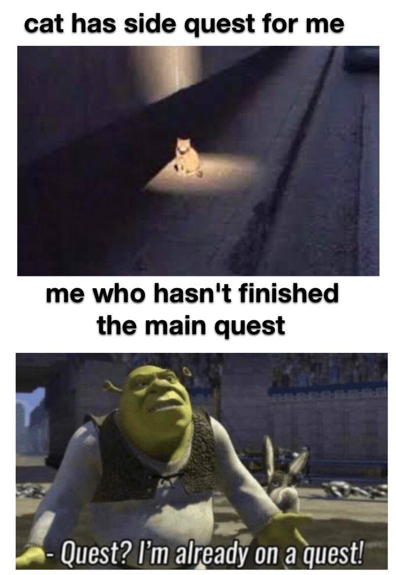 Ah, you're finally awake | Scrolller