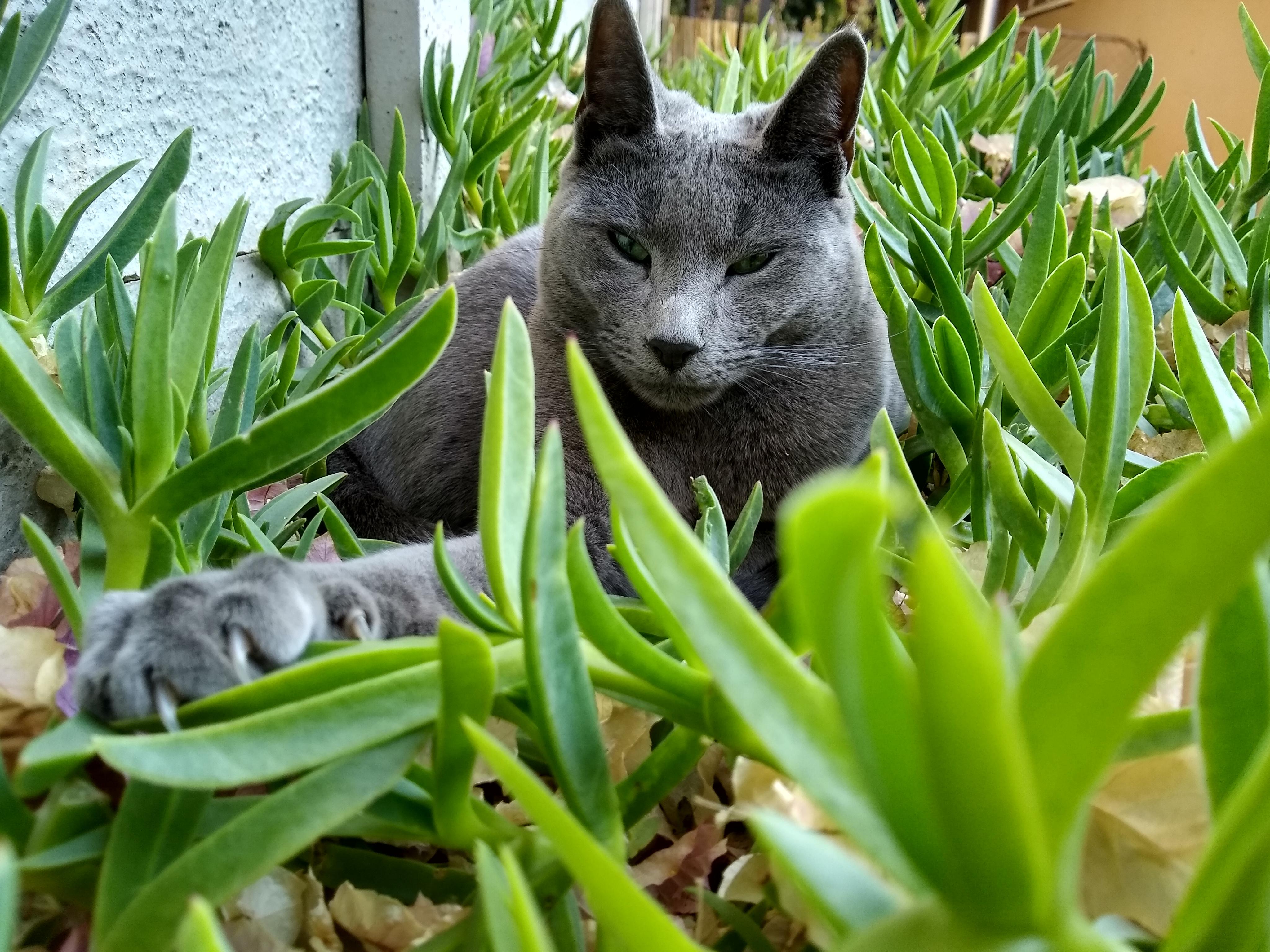 Aleks and his murder mittens | Scrolller