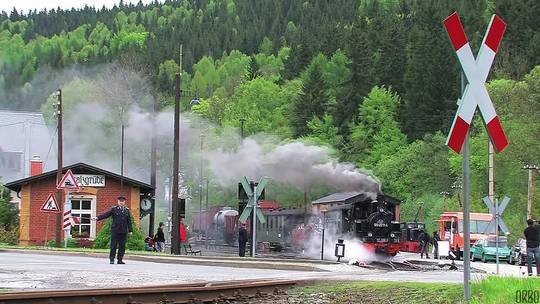 All aboard! | Scrolller