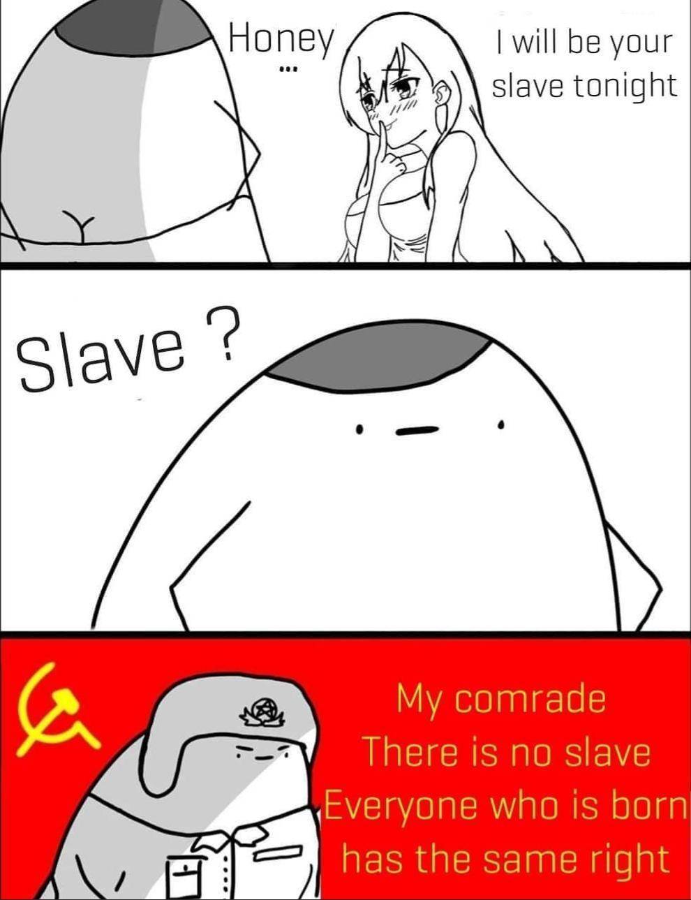 All are created equal! | Scrolller