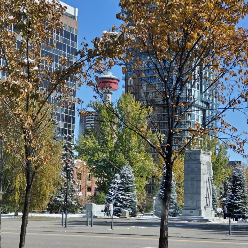 All Four Seasons in One Picture | Scrolller