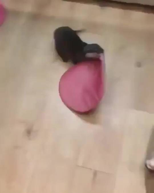 All packed | Scrolller