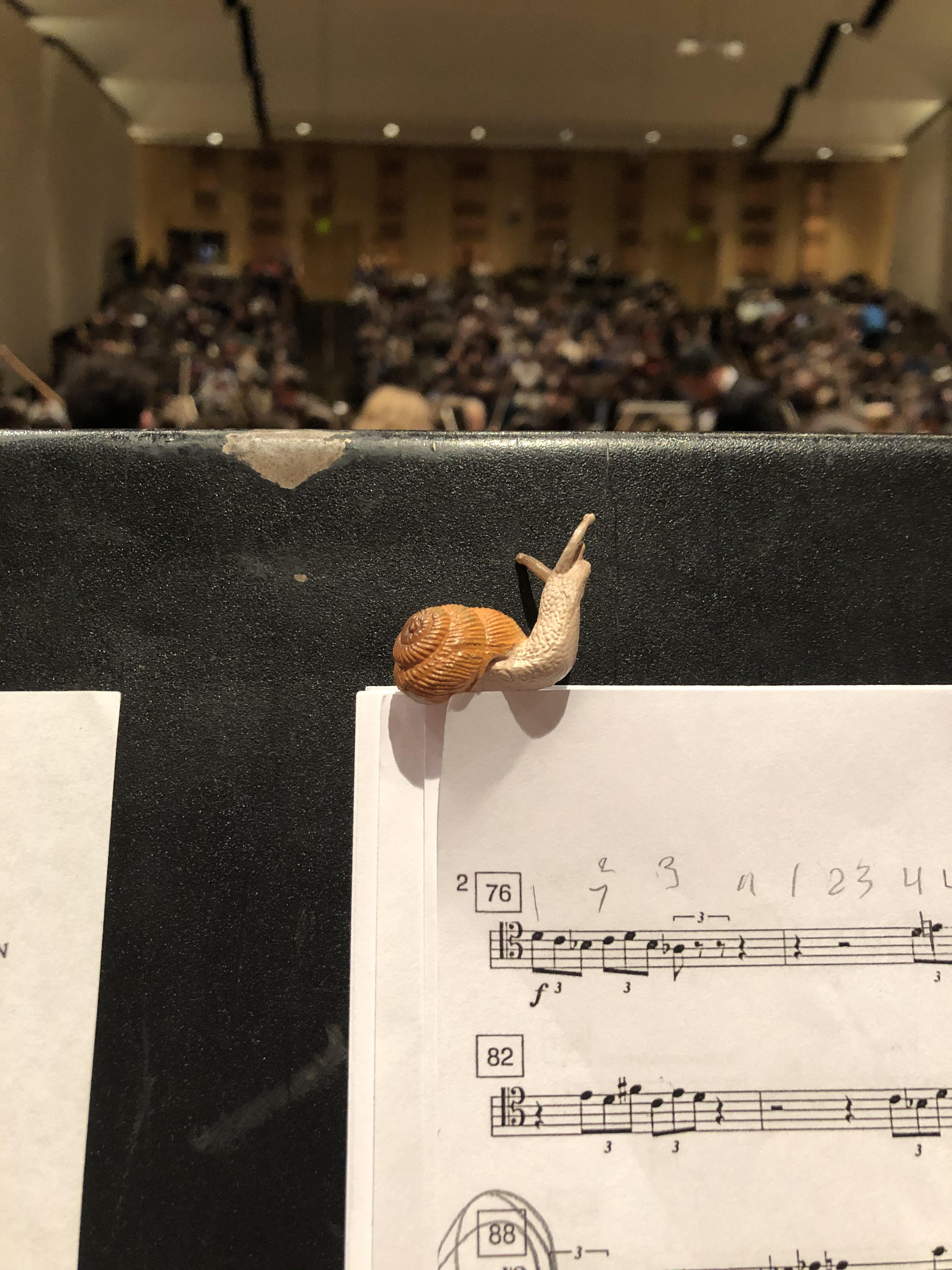 All-State Orchestra! | Scrolller