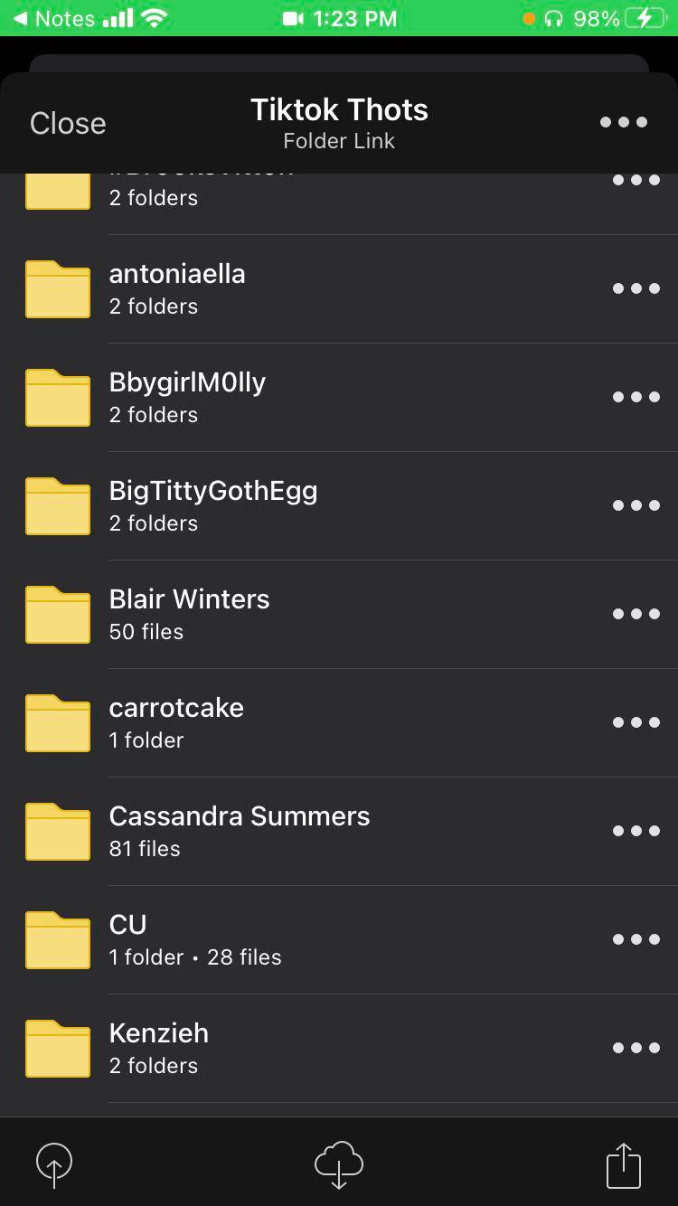 All tiktok thots pick one folder for 5 or the whole thing for 10 serious pm only😍😍 | Scrolller