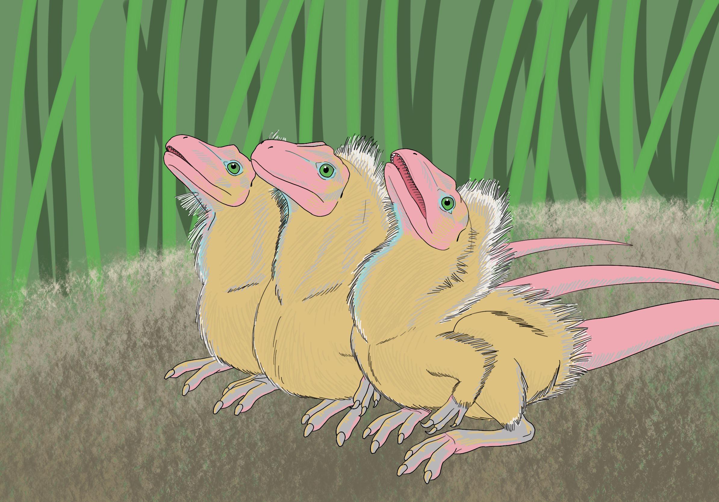 Allosaurus hatchlings [OC] | Scrolller