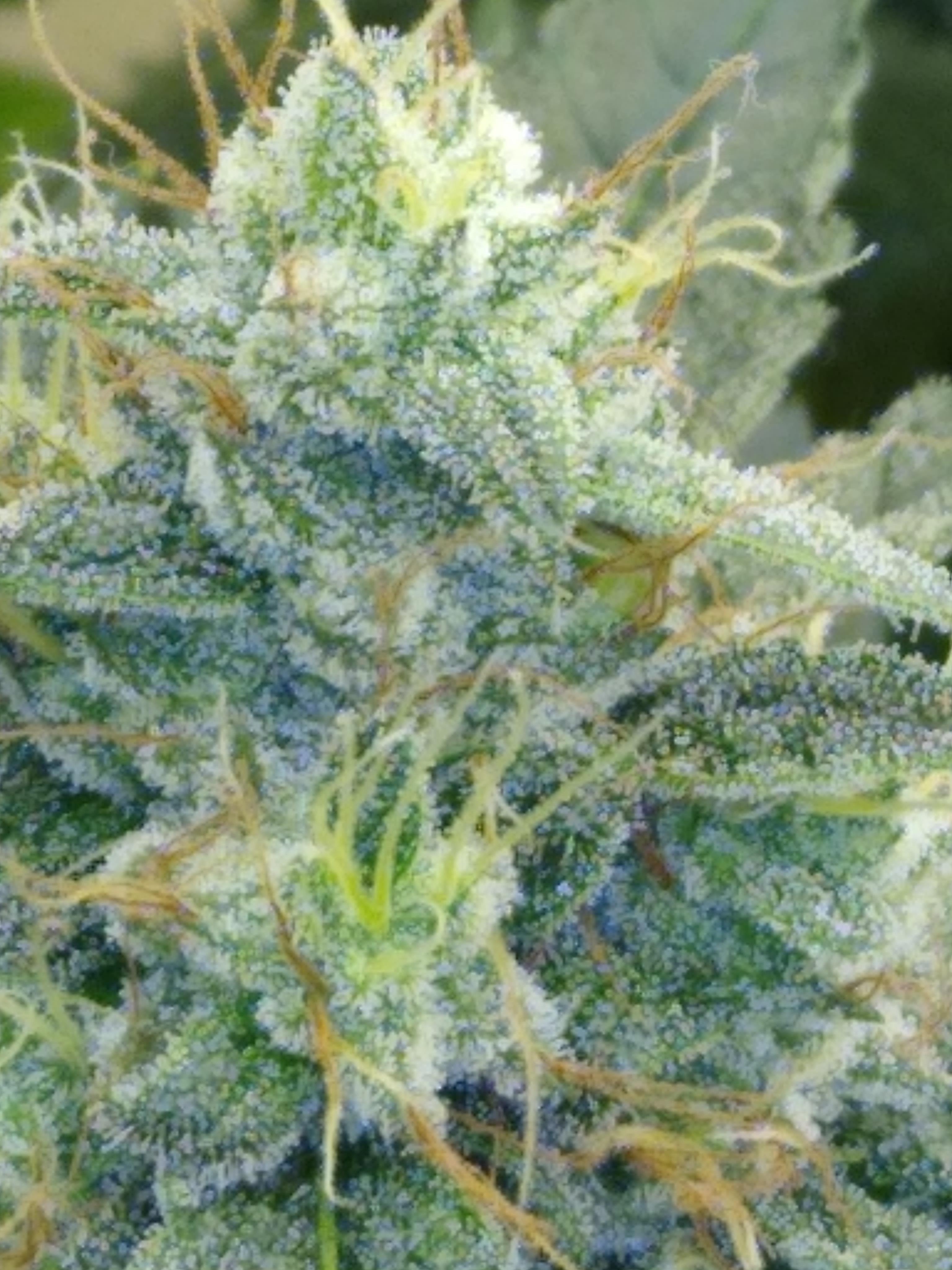 almost there | Scrolller