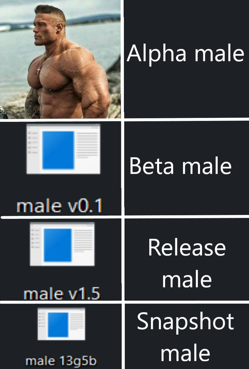 Alpha male or something idk I'm a programmer | Scrolller