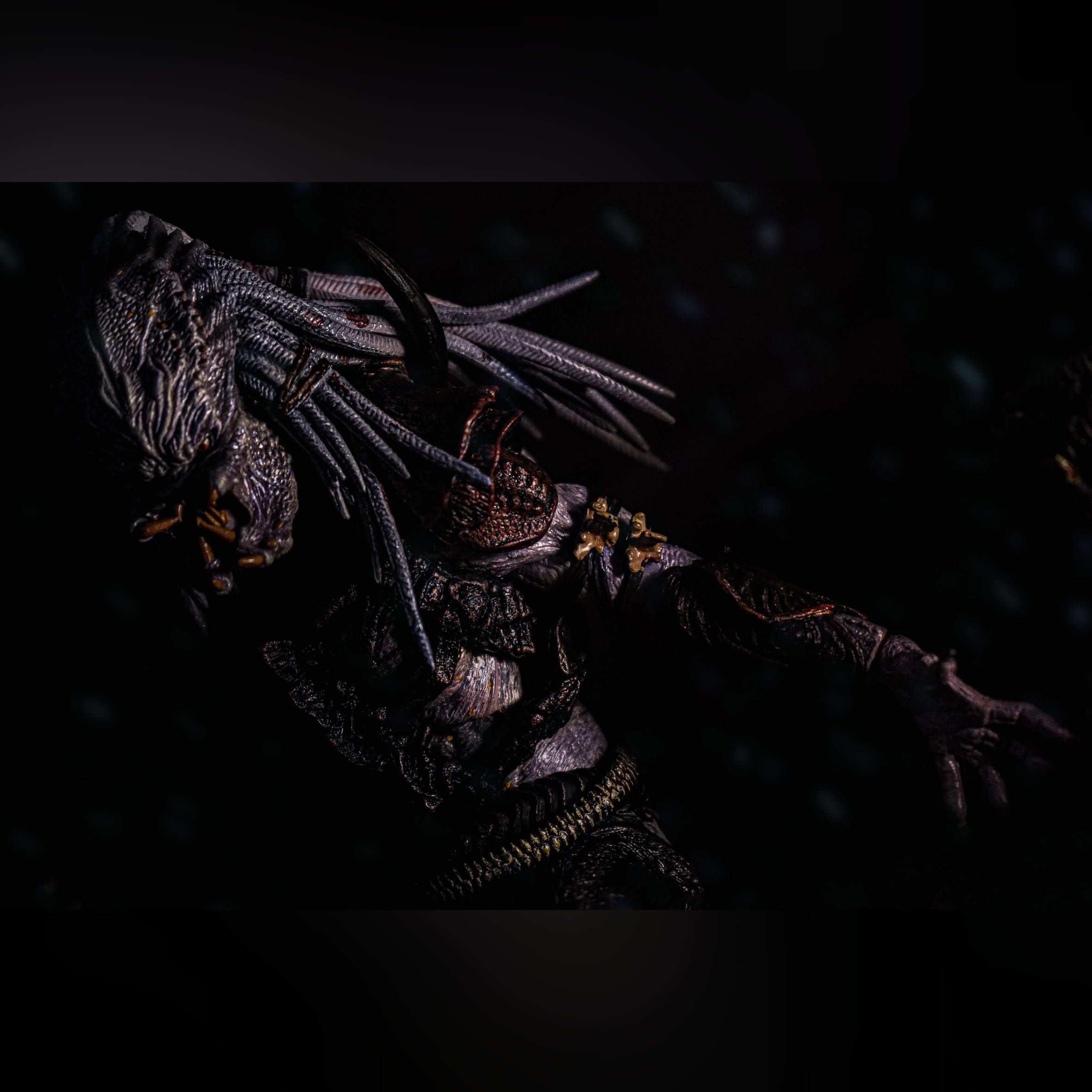 Alpha predator | Scrolller