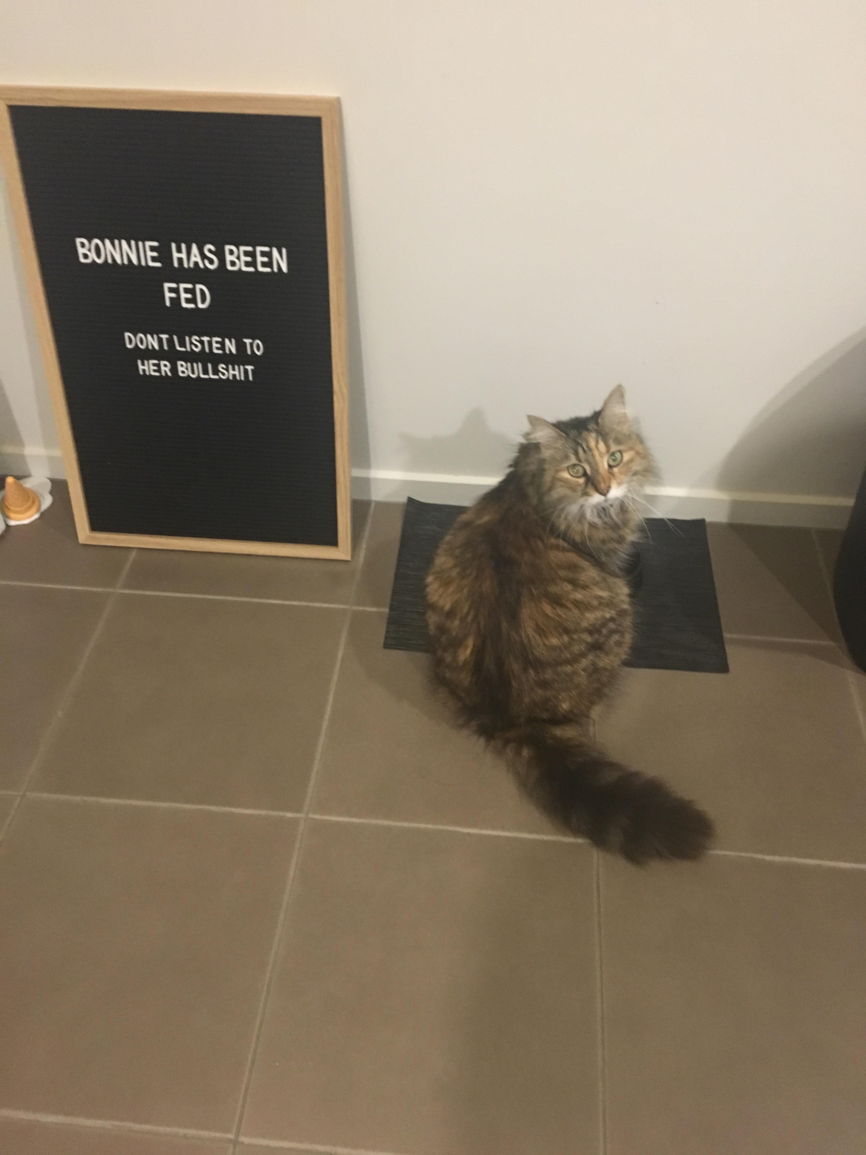 Always hungry | Scrolller