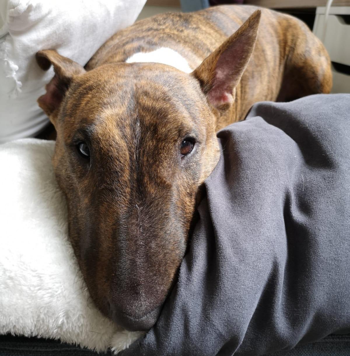 Always watching | Scrolller