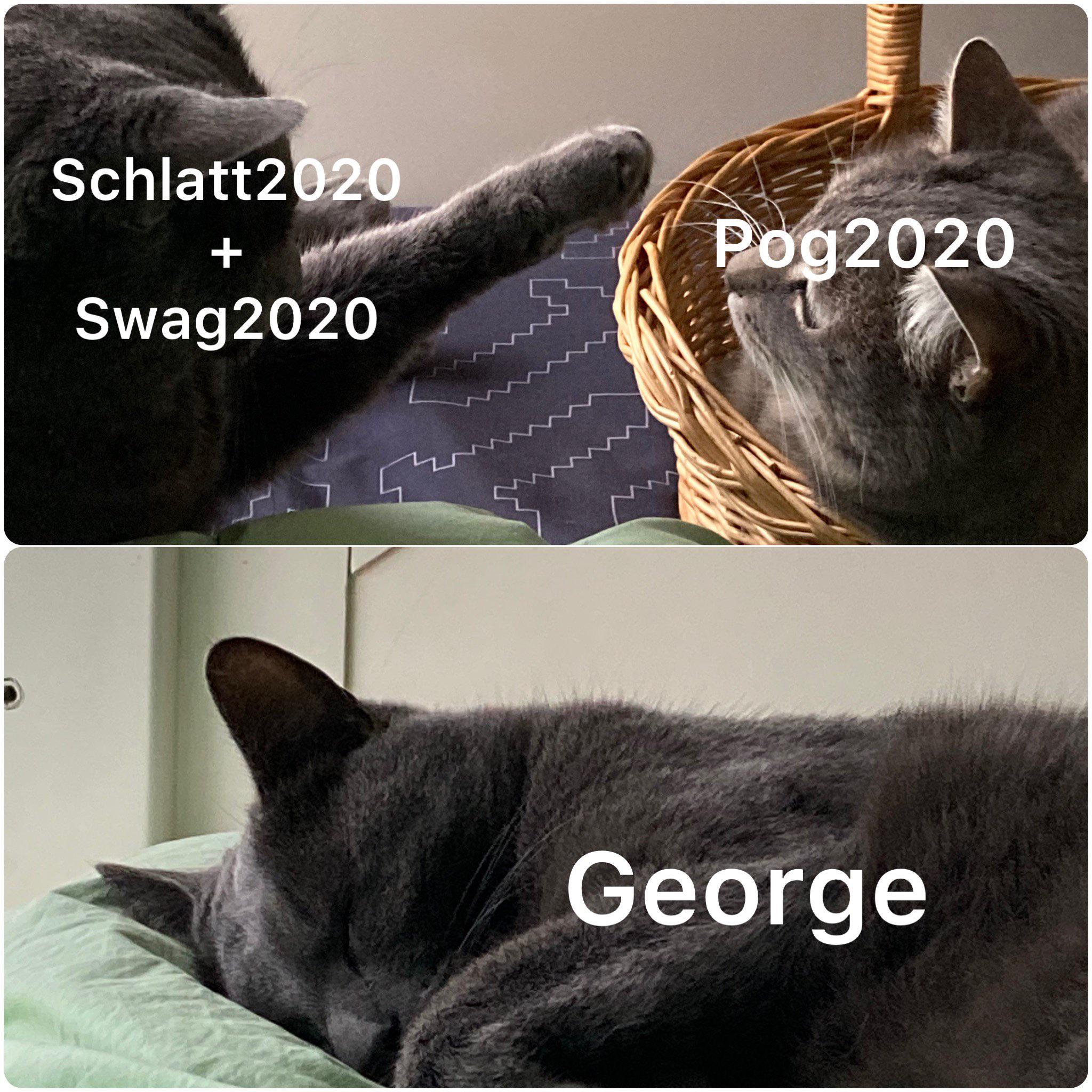 An accurate summary of the entire Manburg arc | Scrolller