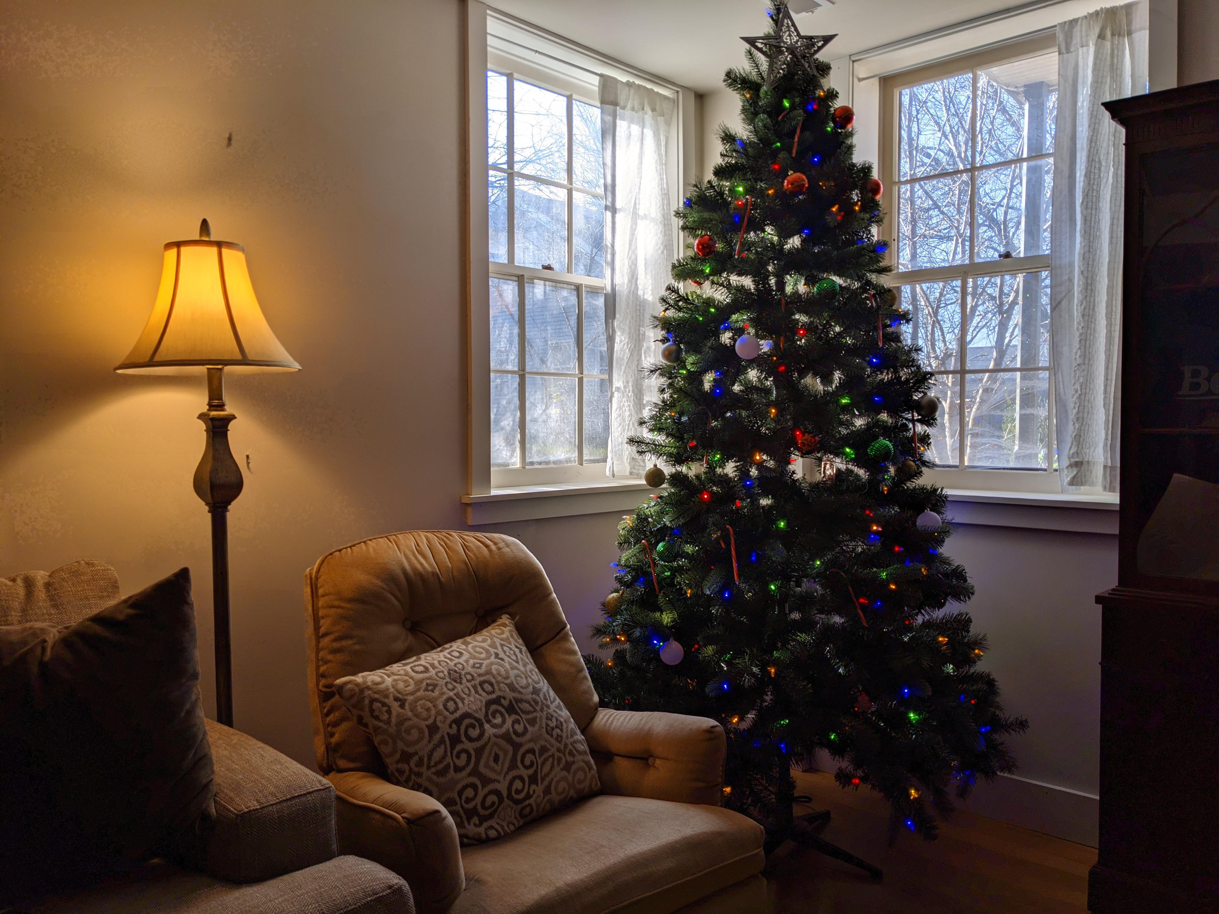 An early Christmas | Scrolller