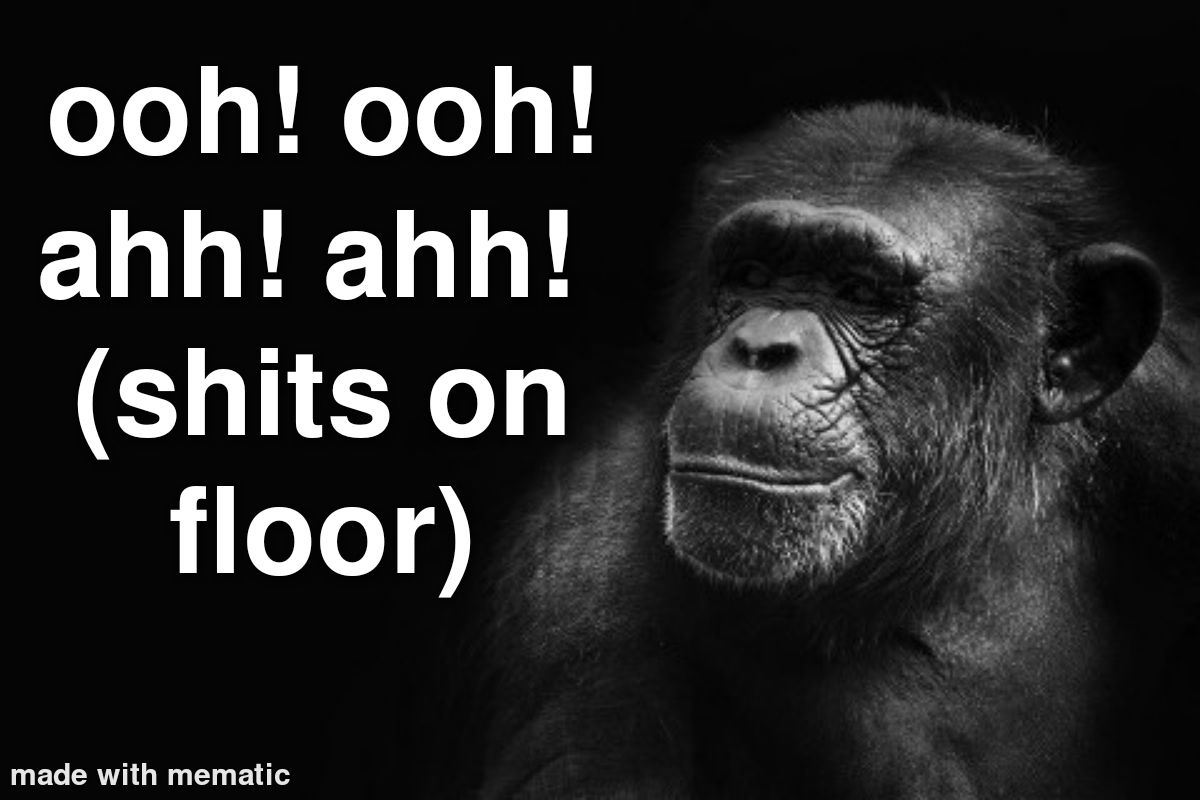 An extremely smart monkey | Scrolller