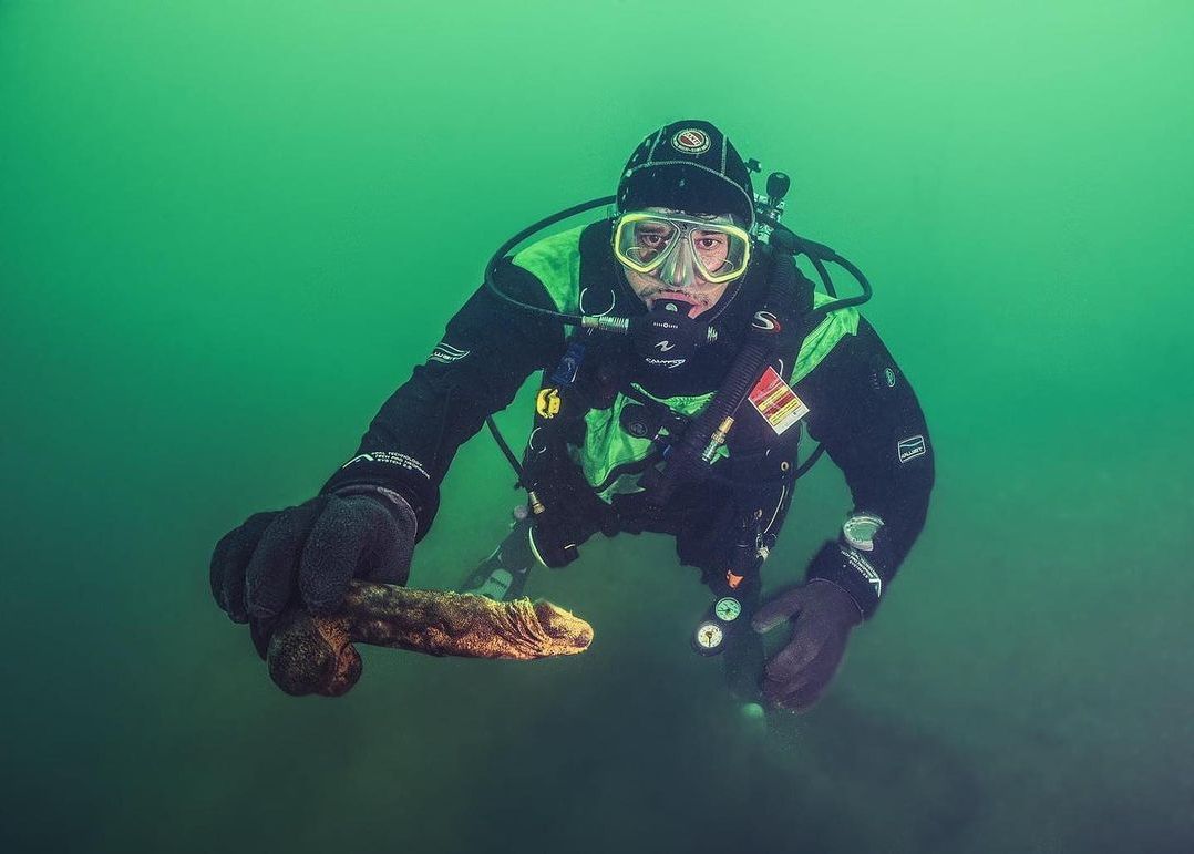 An interesting dive | Scrolller