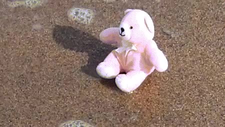 An ocean love story | Scrolller