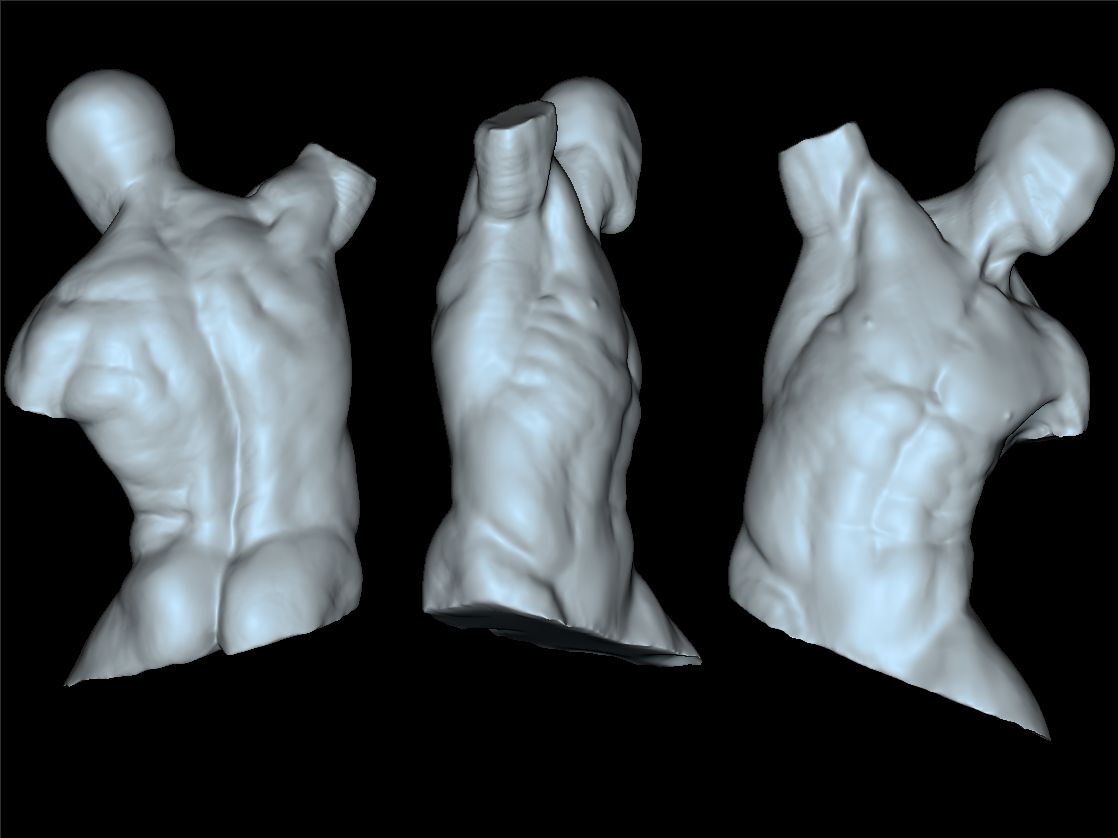 Anatomy study 2 | Scrolller