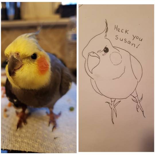 Angry boi | Scrolller