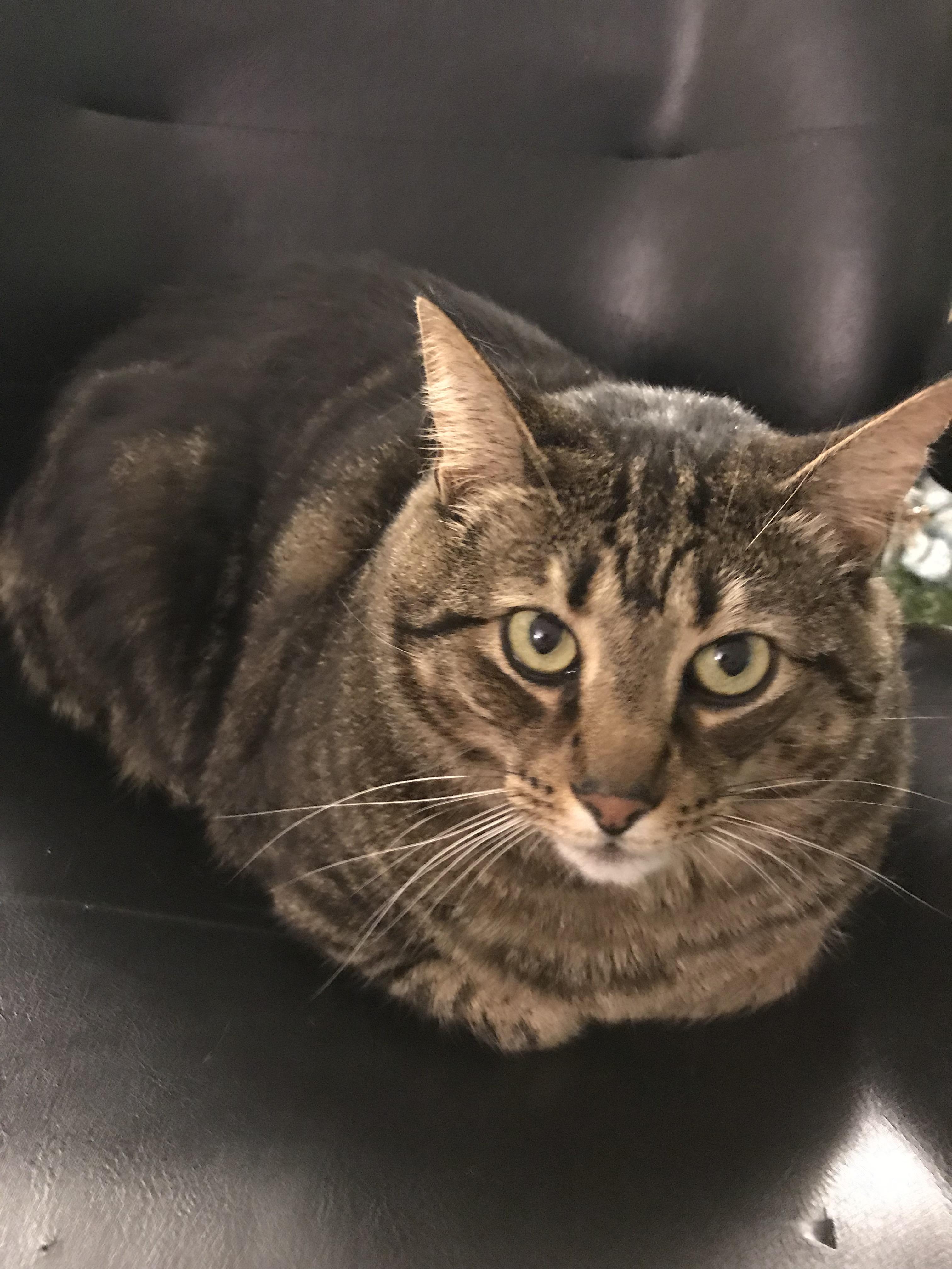 Angry loaf | Scrolller