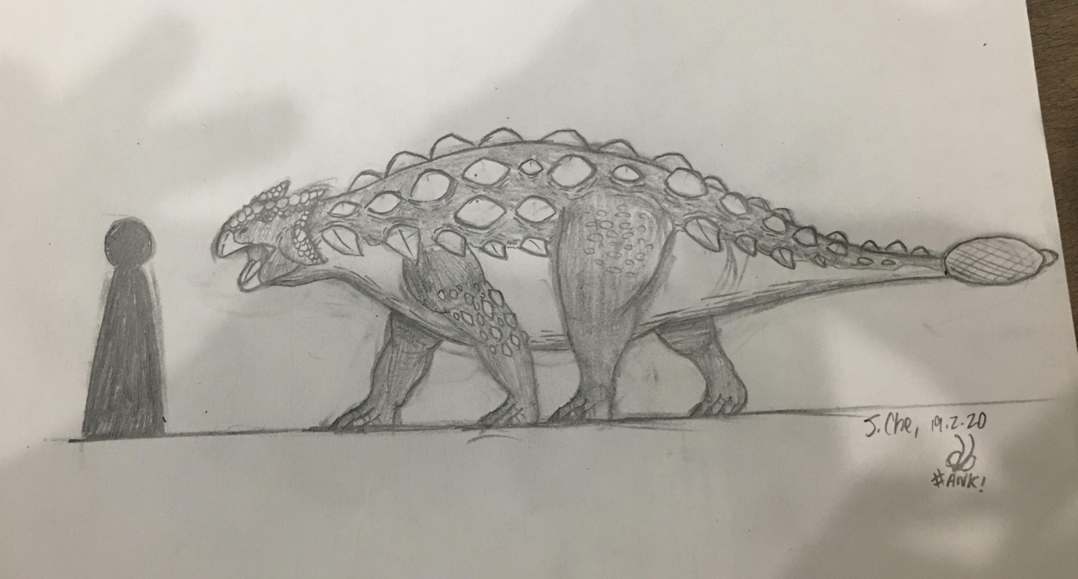 Ankylosaurus drawing that I finished up today. | Scrolller