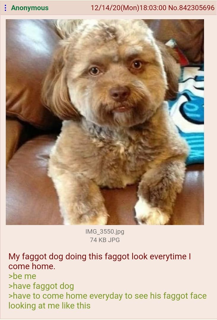 Anon has a dog | Scrolller