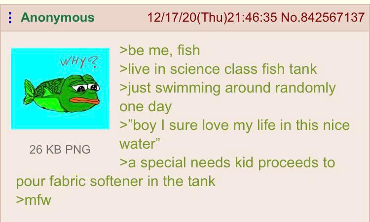 Anon is a fish | Scrolller