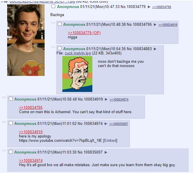 Anon likes the big bang theory | Scrolller
