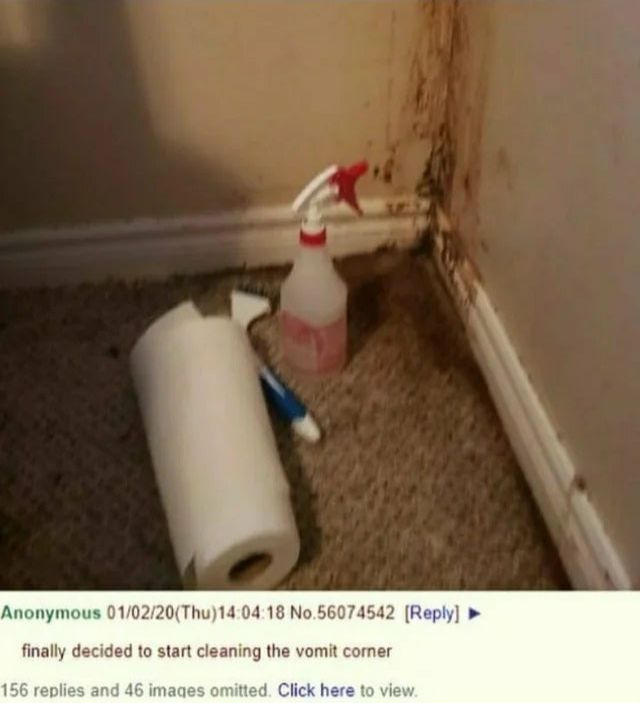 Vomit corner | Scrolller