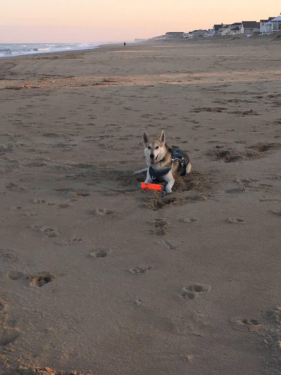 Another 3 months & this beach will be packed. Perfect for now. | Scrolller
