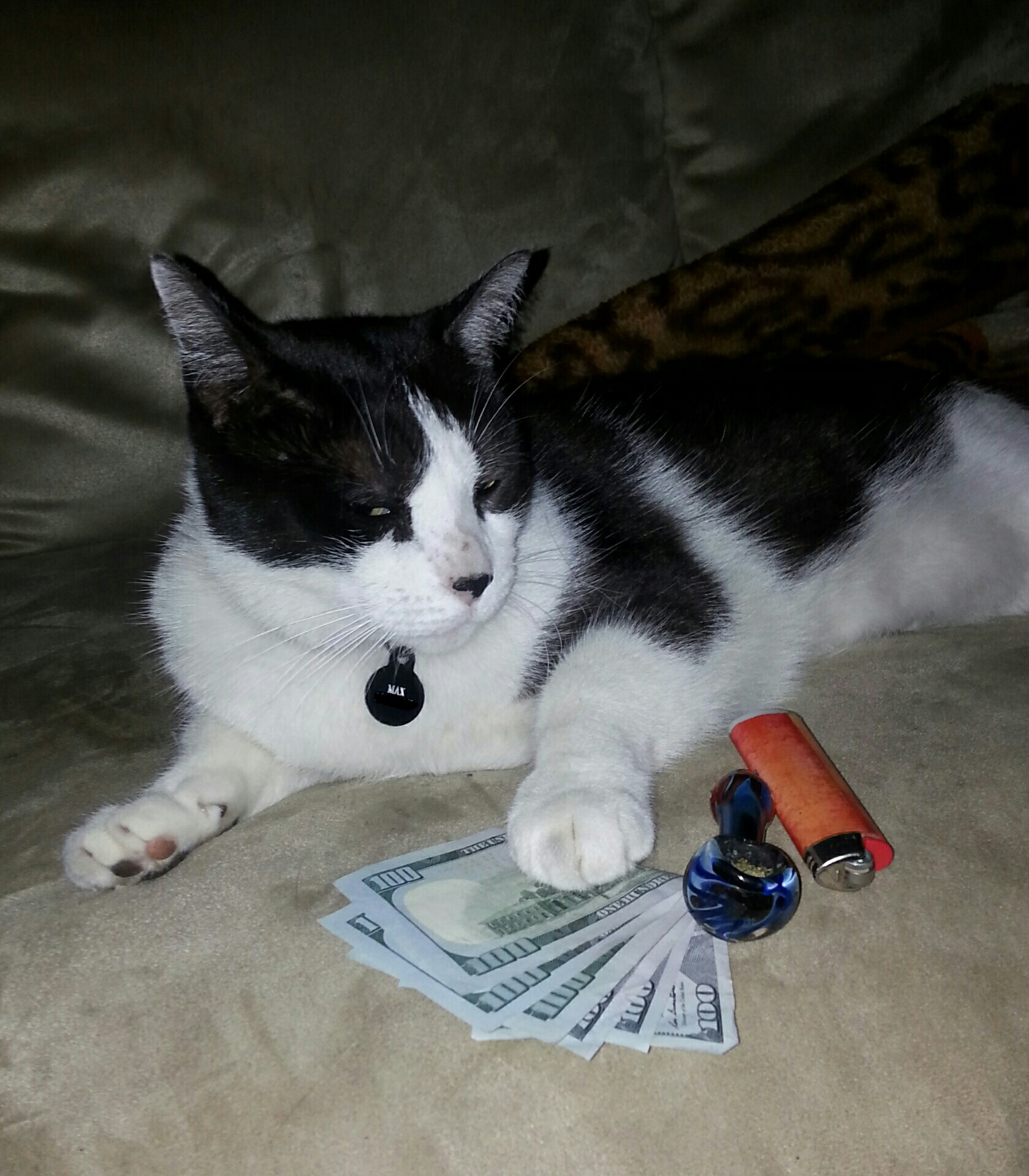 Another day another dollar!!! | Scrolller