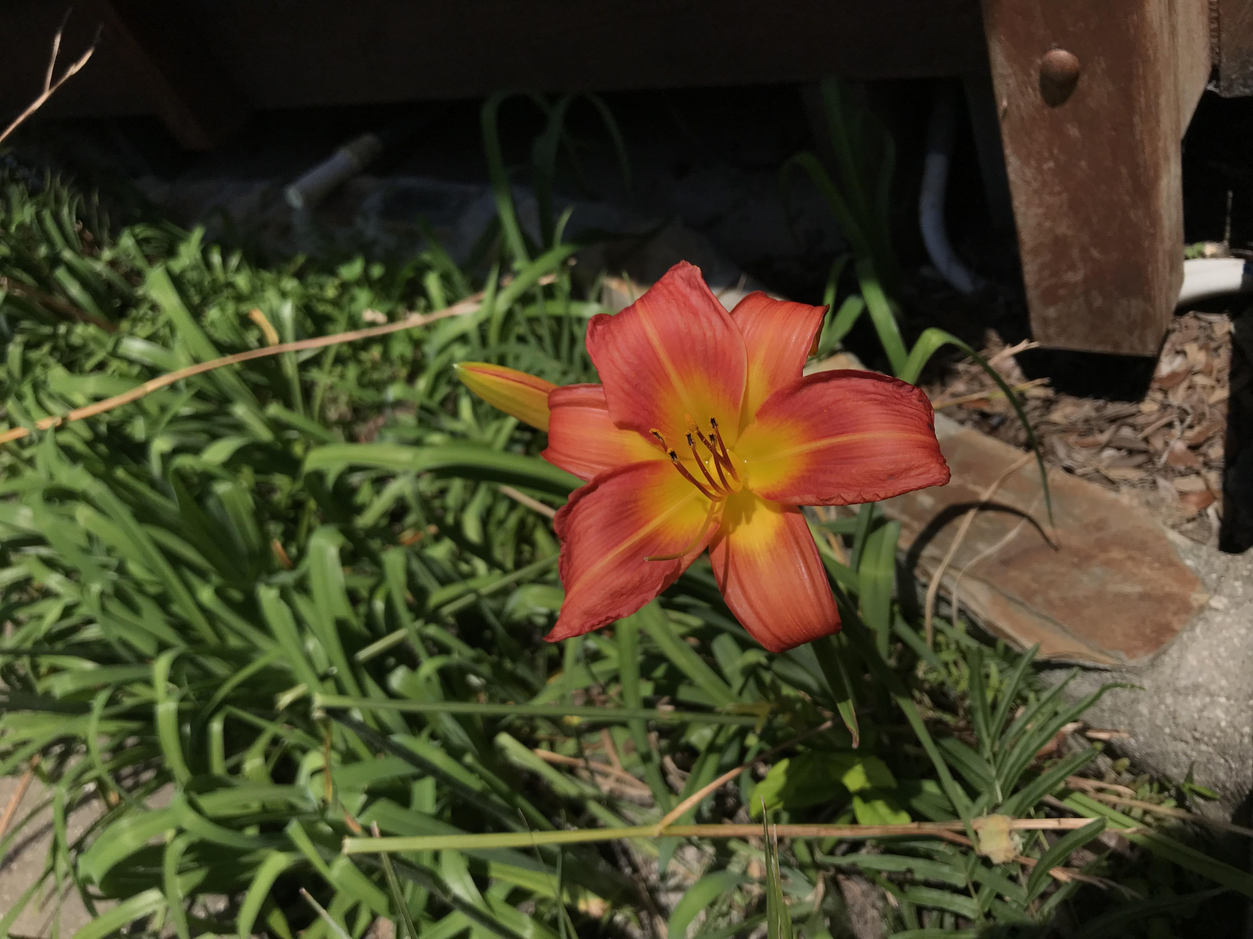 Another day at work | Scrolller