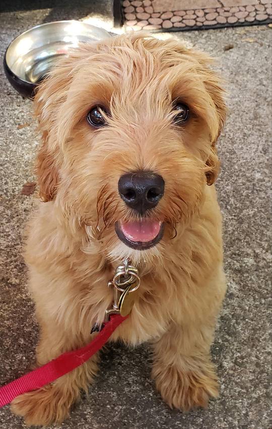 Another lovely summer morning! | Scrolller