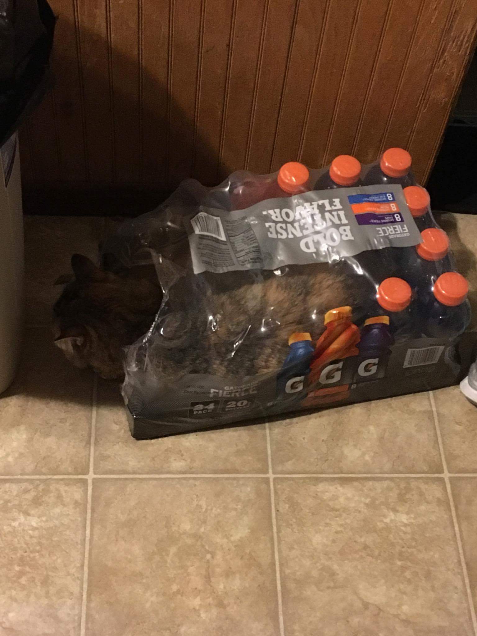 Another package victim. | Scrolller